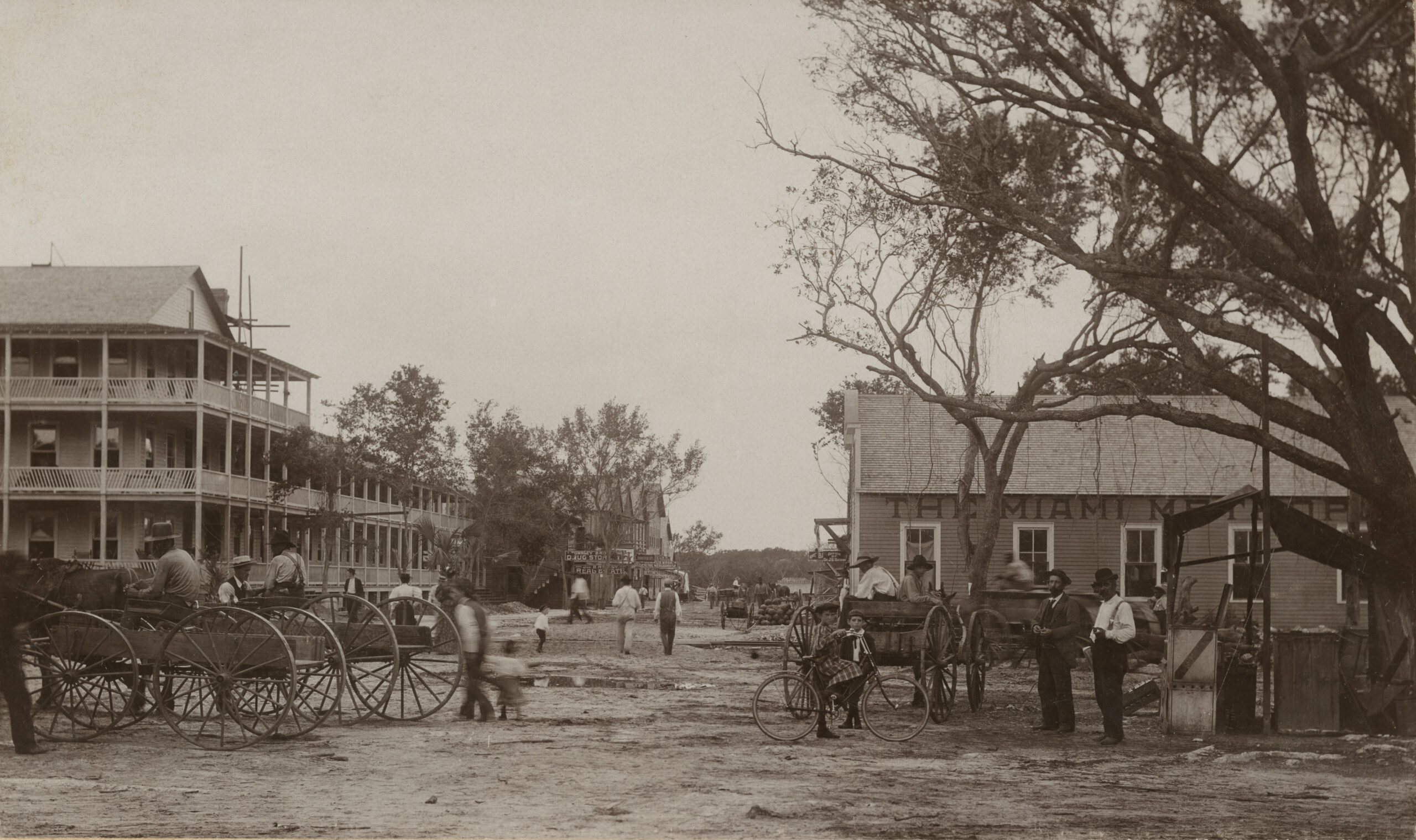 Research The Collection | HistoryMiami Museum